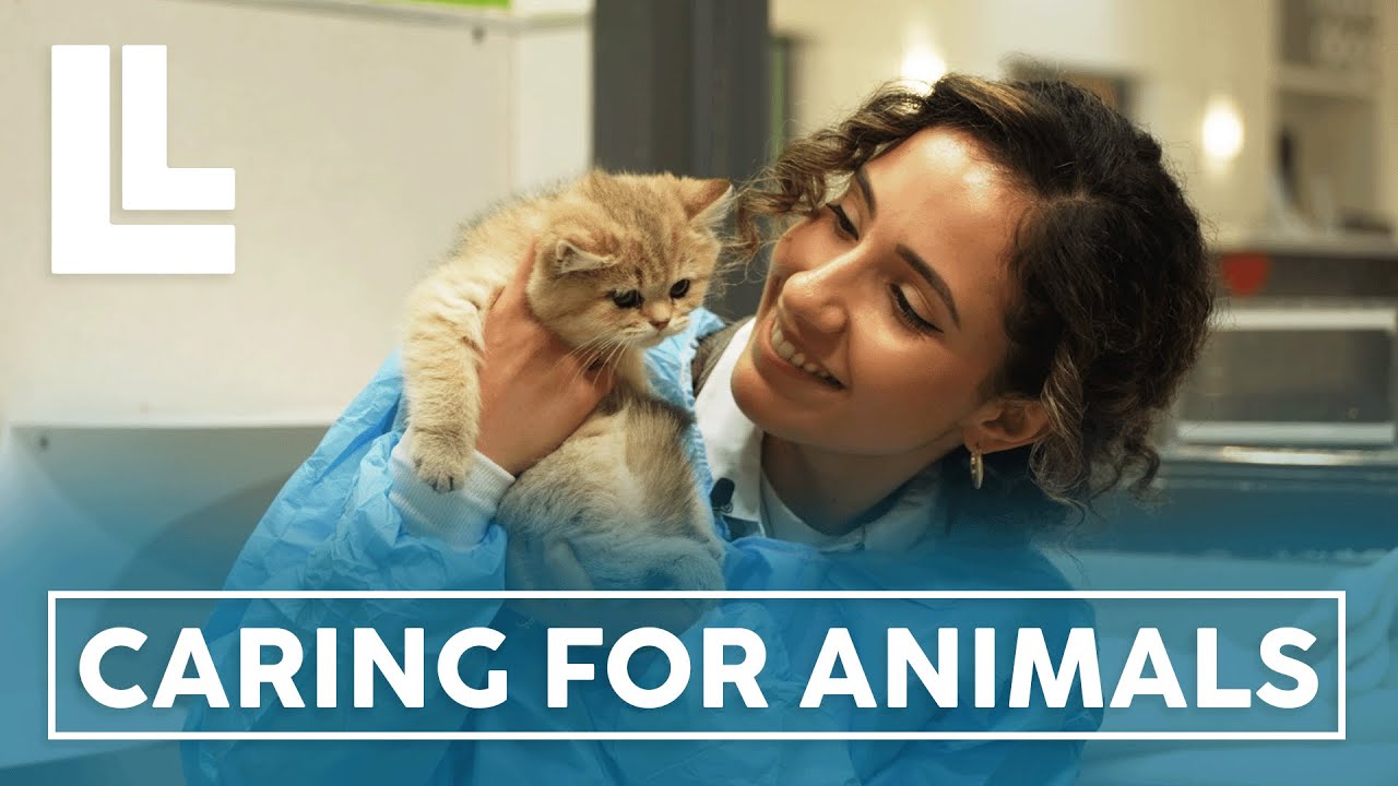 Caring for Animals with the Ontario SPCA | Living Local - YouTube