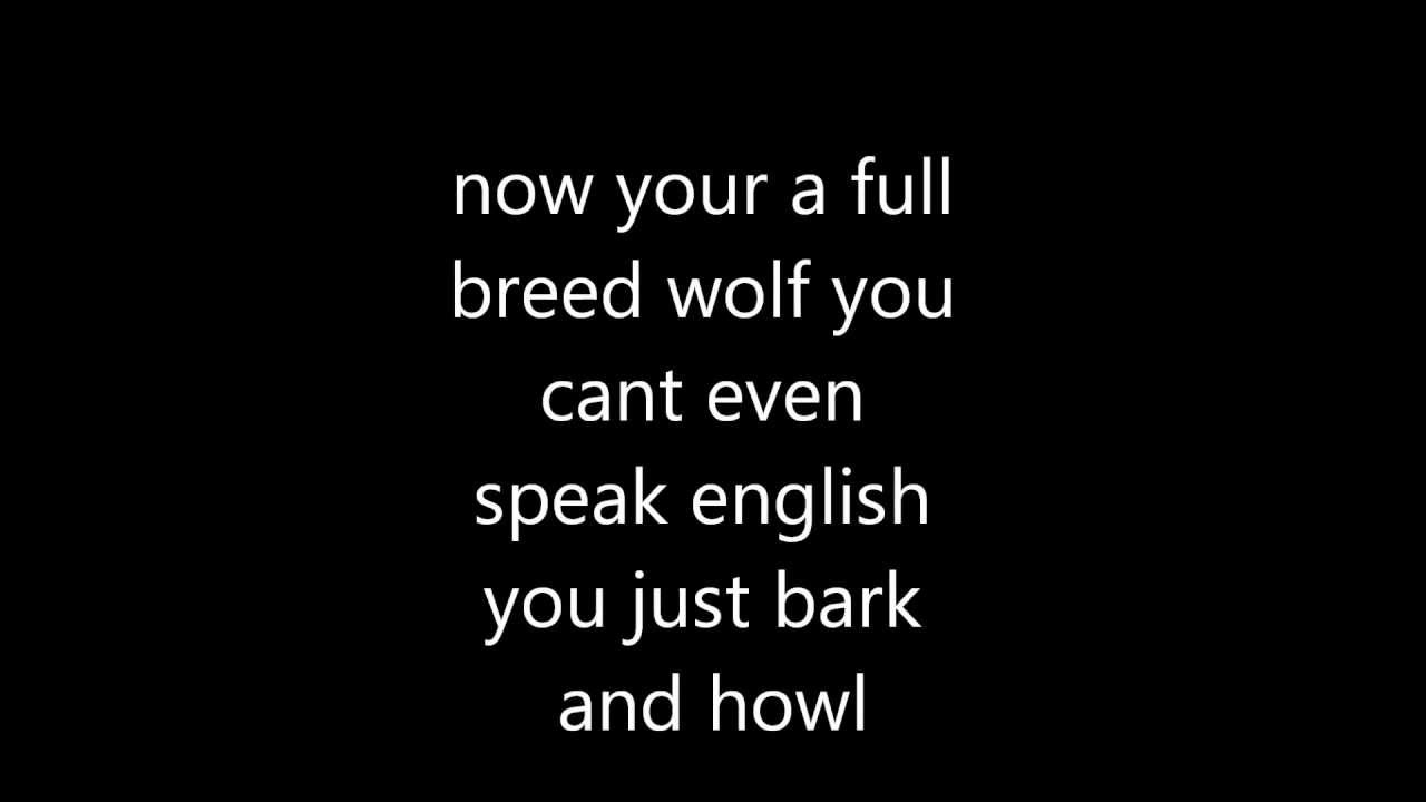 WOLF HYPNOSIS no voice - YouTube