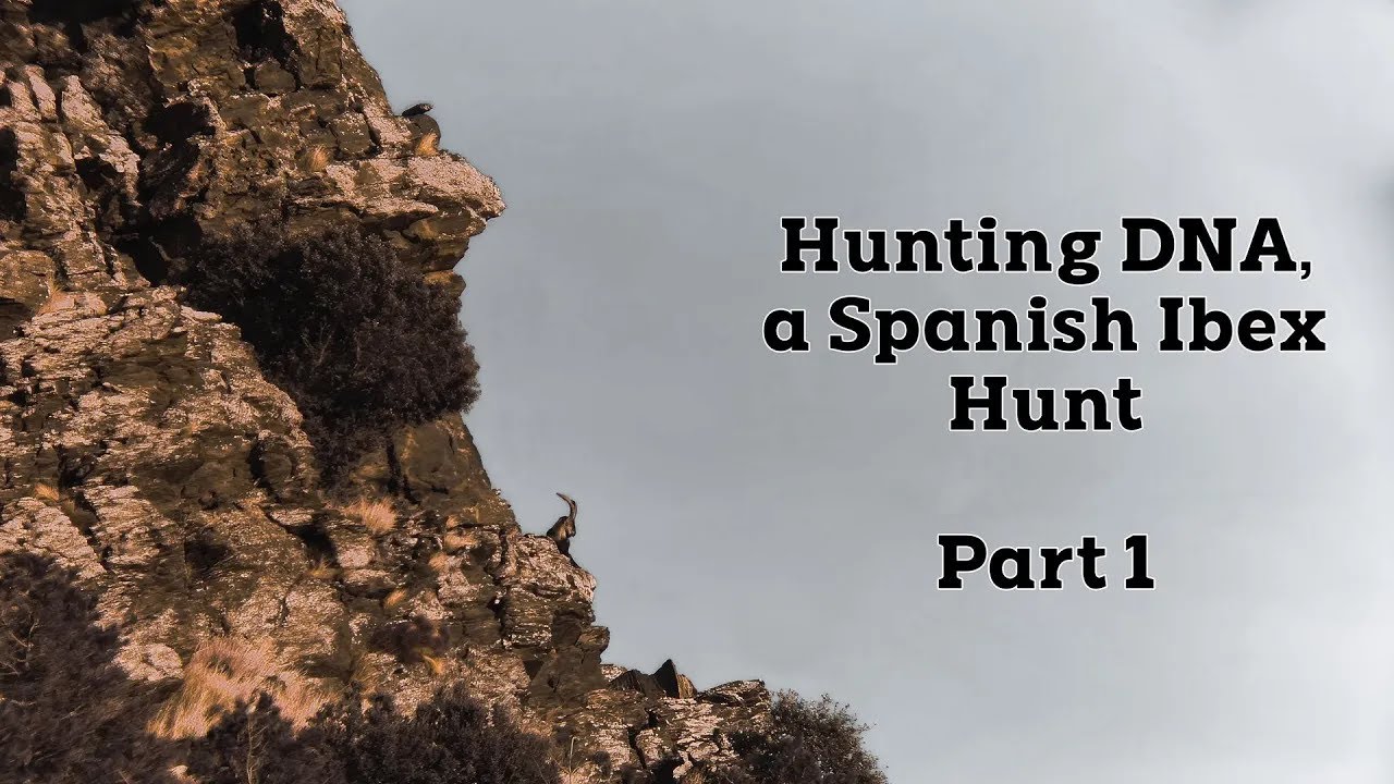Hunting DNA: A Spanish Ibex Hunt Part 1 - YouTube