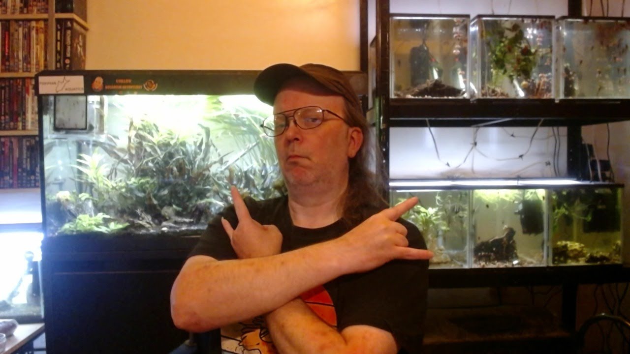 Sunday Sharpe: waffle time! - YouTube