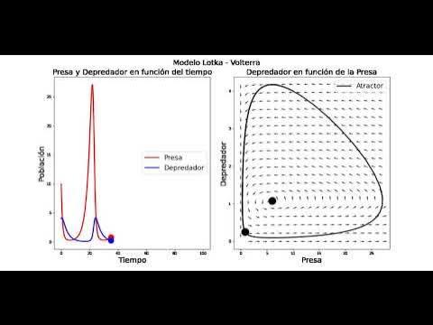 Modelo Lotka Volterra en Python - YouTube