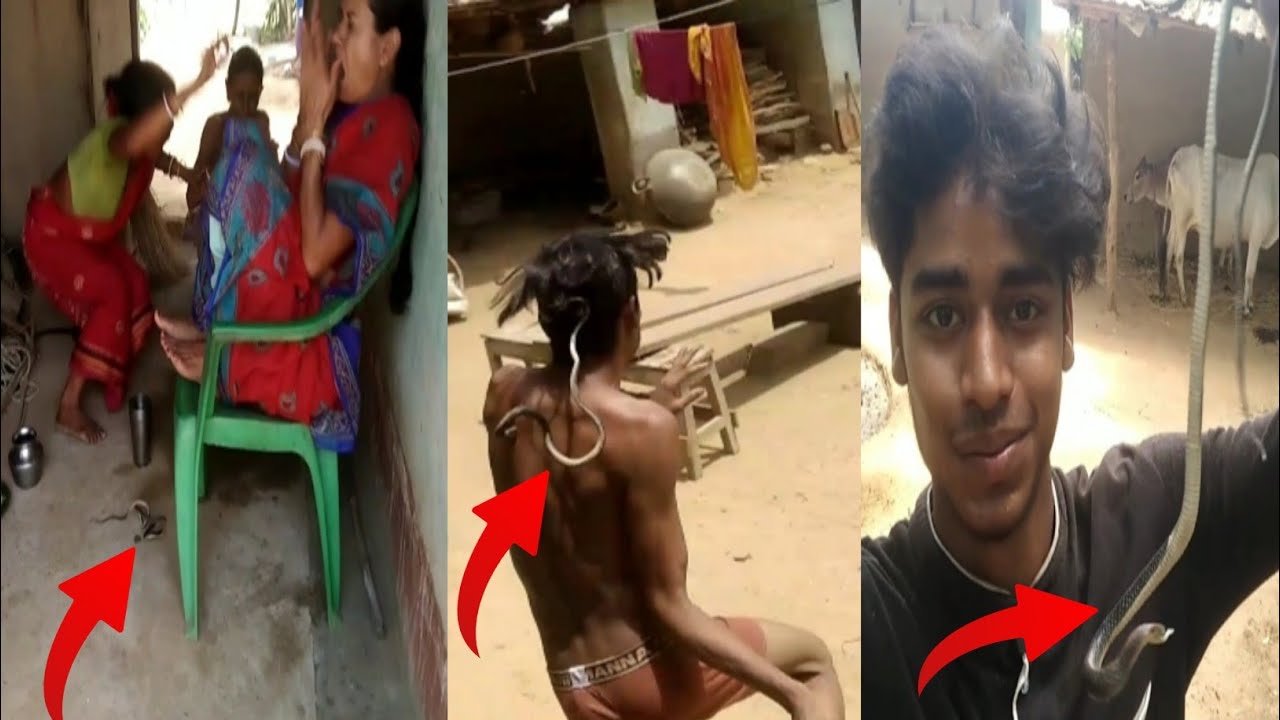 Snake prank 🔥 | Best prank of 2023 | ginni Pandey @pandeyshivah - YouTube