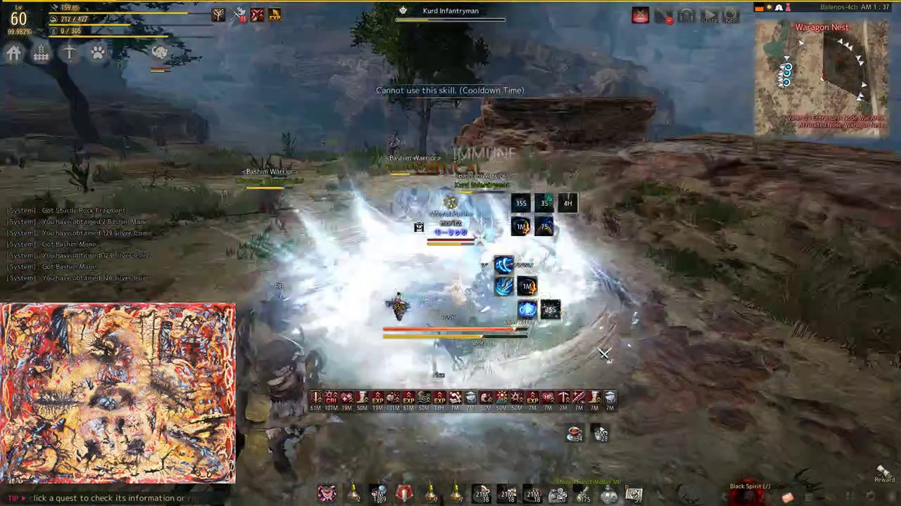 Black Desert Online - How to Lv61 at Bashim. - YouTube
