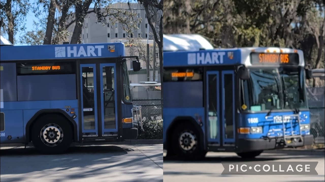 Hart bus #1605 on Standby bus - YouTube