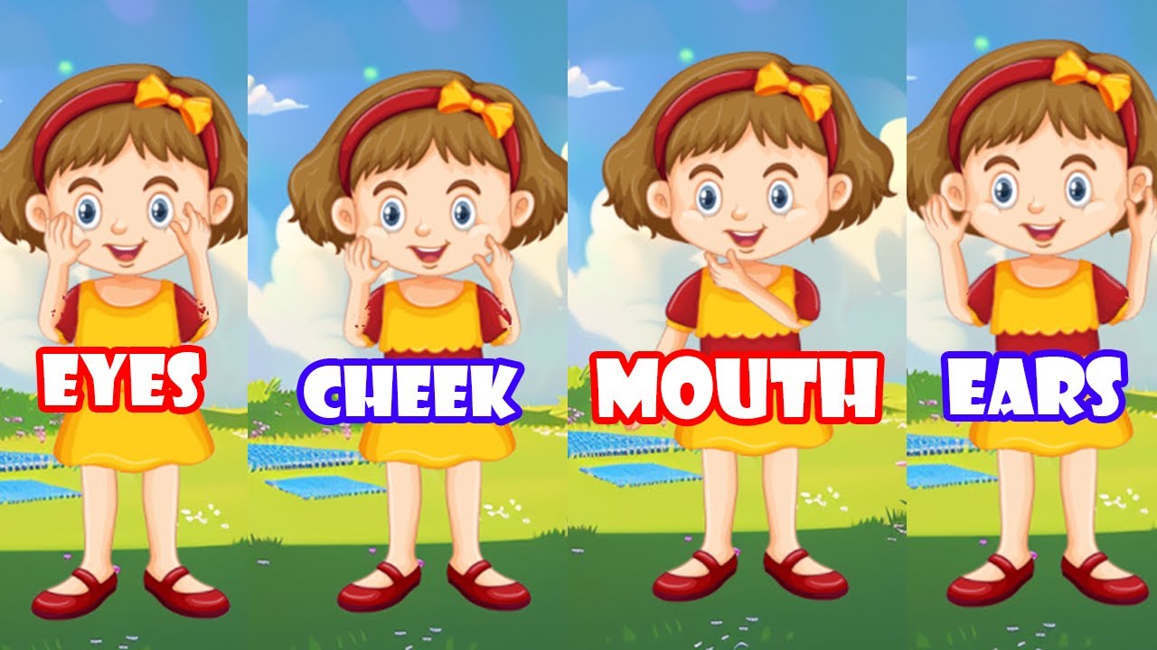 Here are my ears | Nursery & kids Rhyme | Sing Along Song | Animated ...