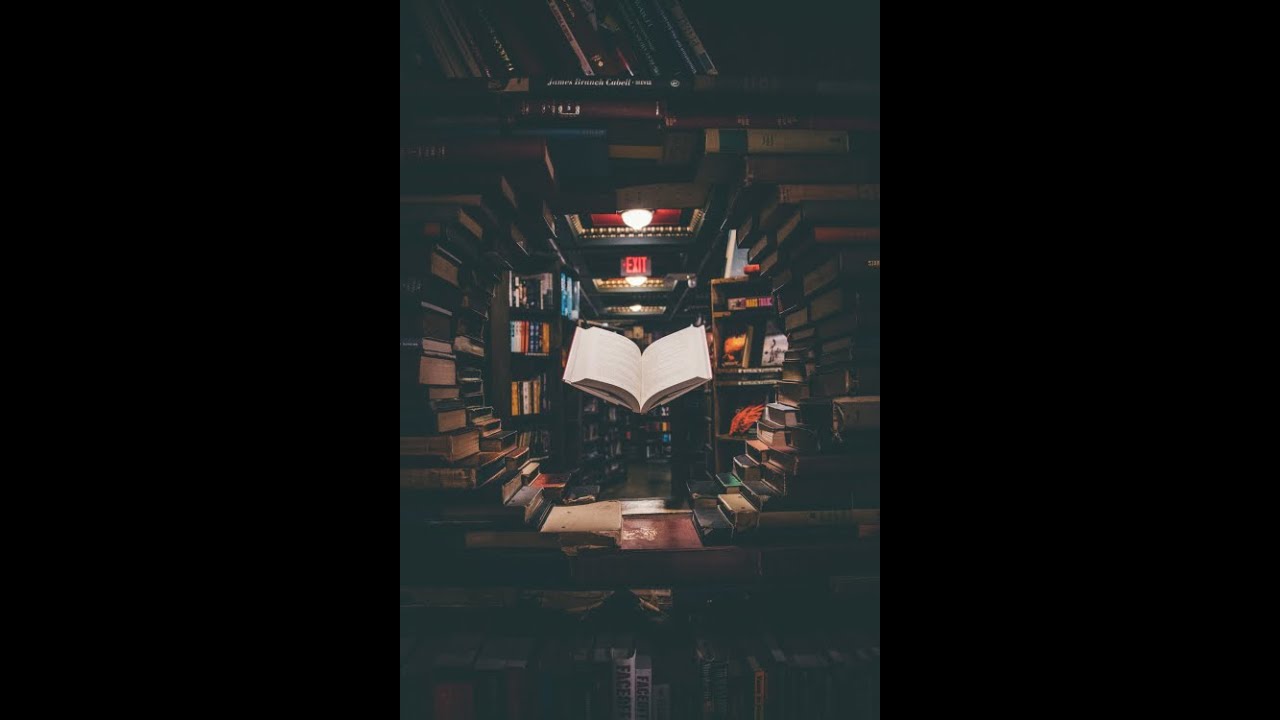 notes on complexity by Neil Theise part 1 - YouTube