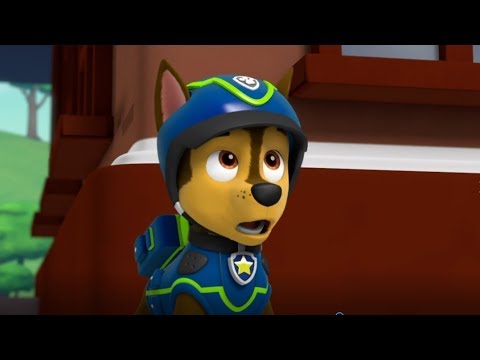 Paw Patrol Funny Moments - Best Animation Moments For Kids #103 - YouTube