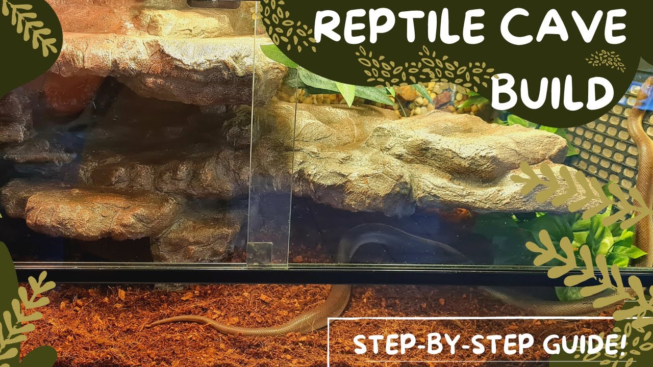 How to Build a DIY Cave for Your Reptile: Step-by-step guide! - YouTube