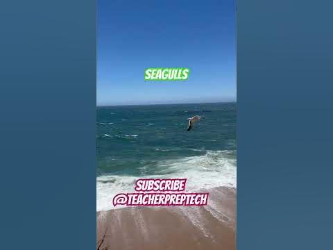 Learning Spanish: At the beach | Aprende Espanol en la playa - YouTube