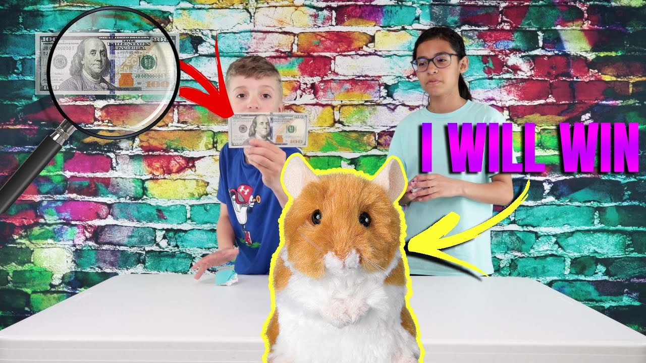 Toy HAMSTER Race For $100 | 🐹MEGA HAMSTER RACE 🐹 - YouTube