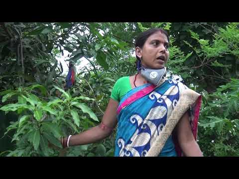 Ekal Abhiyan, Ranchi - Tree plantation done - YouTube