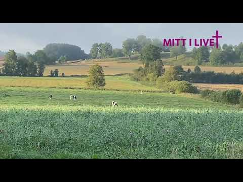 Christina – mitt i livet morgonvy - YouTube