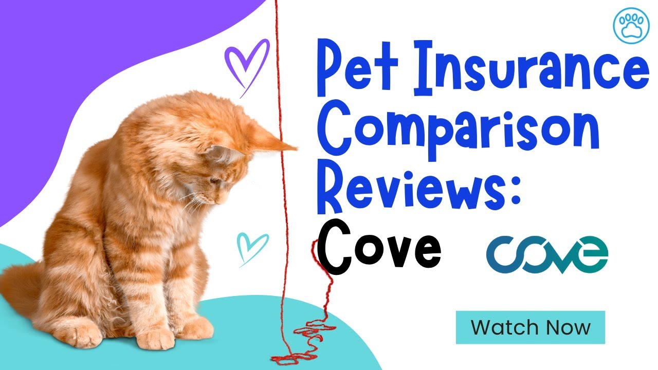 Cove Pet Insurance NZ Review 2025 🐾 | Simple, Smart, & Affordable ...