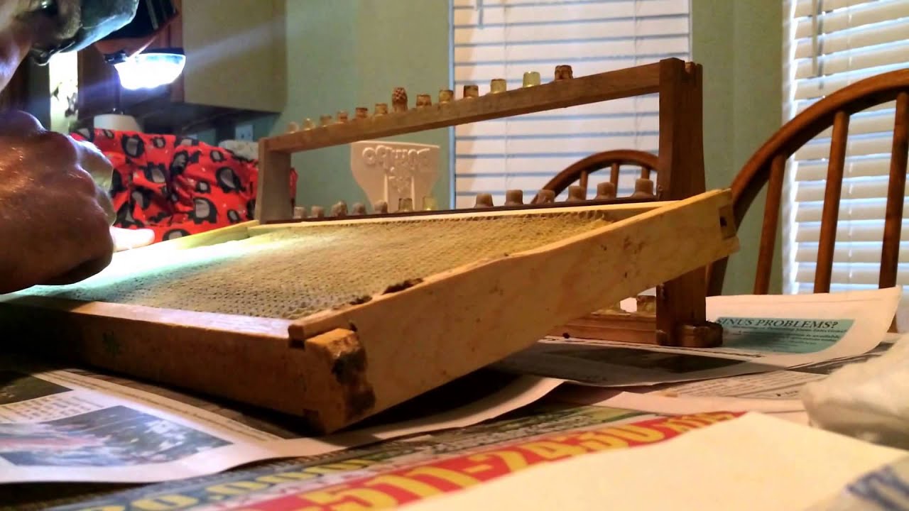 Grafting Queen Bee Process Part 4 - Making the Grafts! - YouTube