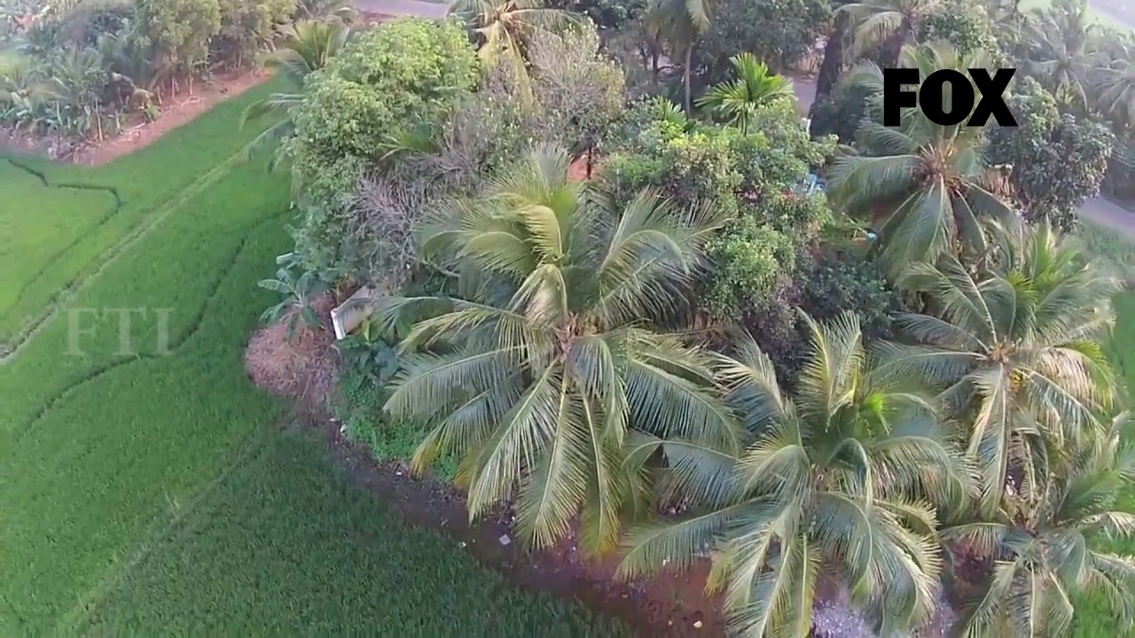 indian village drone | kerala | Fox Traveller India - YouTube