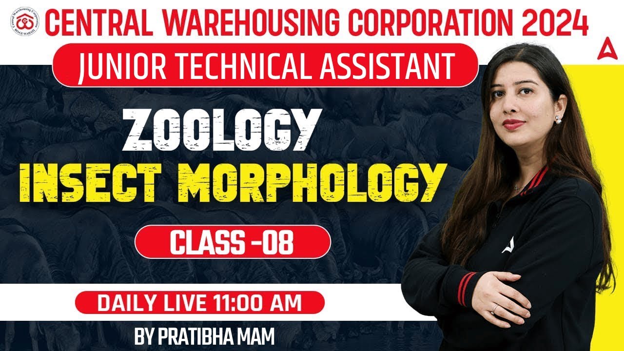 CWC 2024 Junior Technical Assistant Zoology | Insect Morphology Class ...