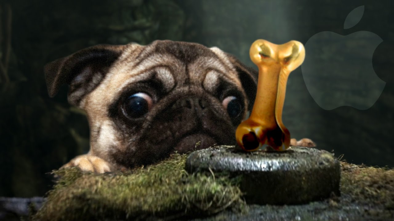INDIANA JONES EN PUG! | Pug's Quest iOS - YouTube