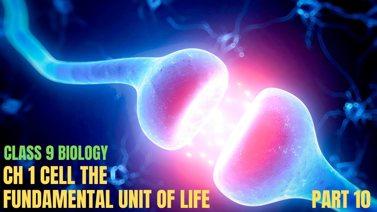 CLASS 9 BIOLOGY - CH 1 CELL THE FUNDAMENTAL UNIT OF LIFE PART 10 - YouTube