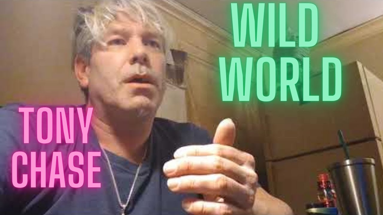 A Quick Look Into The Wild World Of Tony Chase - YouTube