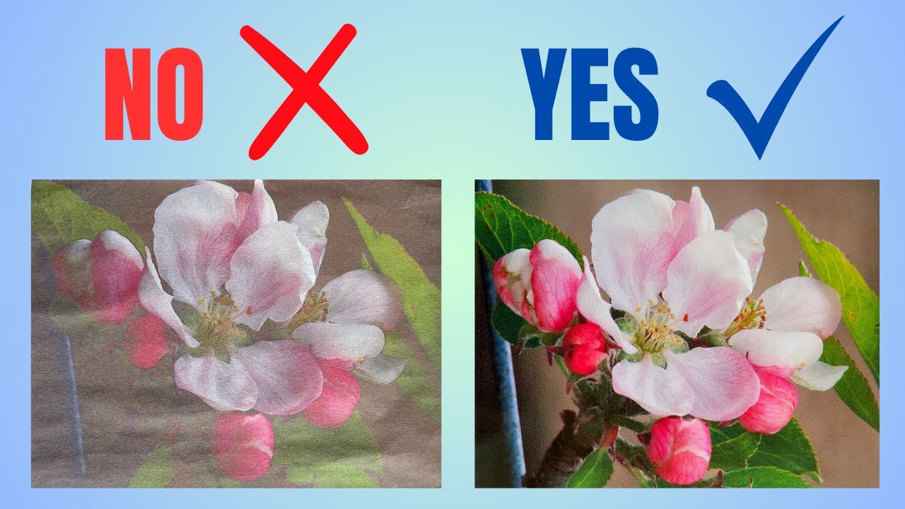 How to Print a Reference Image for Accurate Art - Educationmagz.blog