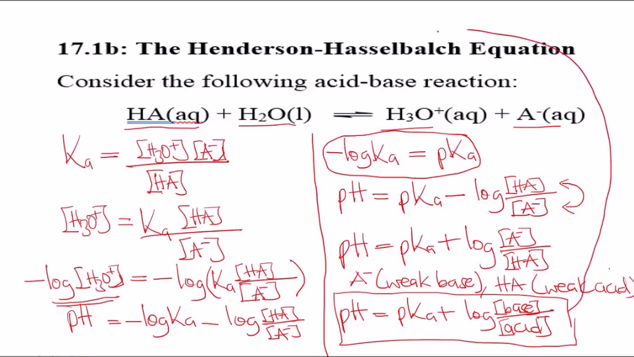 Aqueous ionic equilibrium 1 LM - YouTube