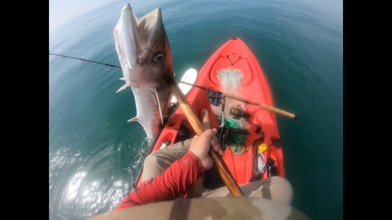 MONSTER Kingfish from Kayak, NO WIRE! Cocoa Beach, FL - YouTube