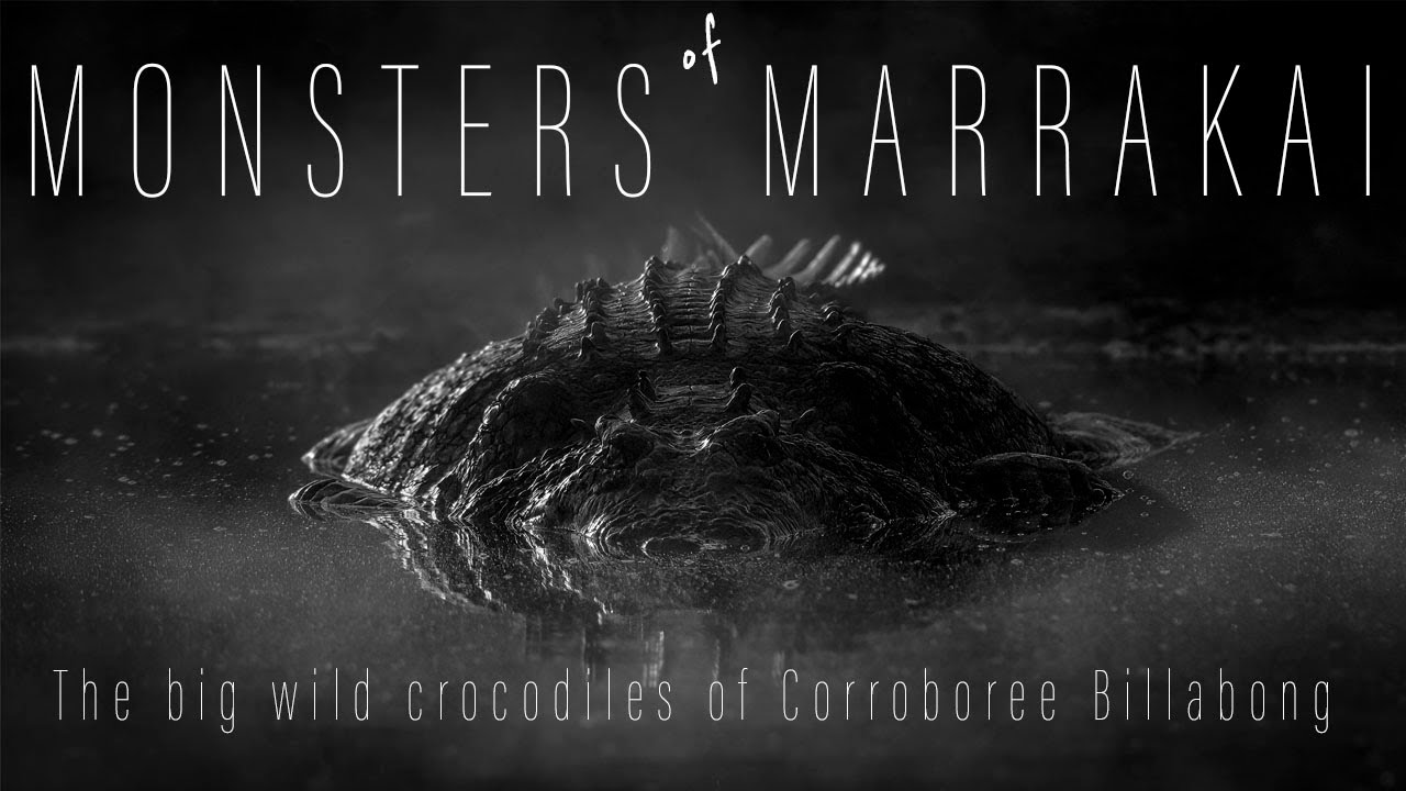 The Monsters of Marrakai - YouTube