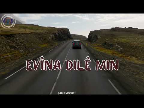 Evîna Dilê Min | Strane Kurdi | Official Video - Yeni Kürtçe Romantik Şarkı 2024 | Aşk ve Duygular