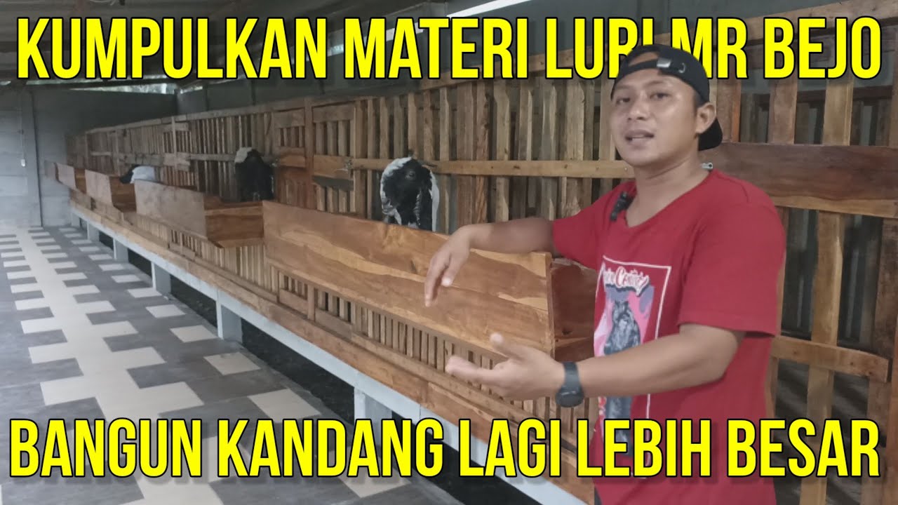 MAS LUP FARM BANGUN KANDANG LAGI DAN KUMPULKAN MATERI LURI MR BEJO ...