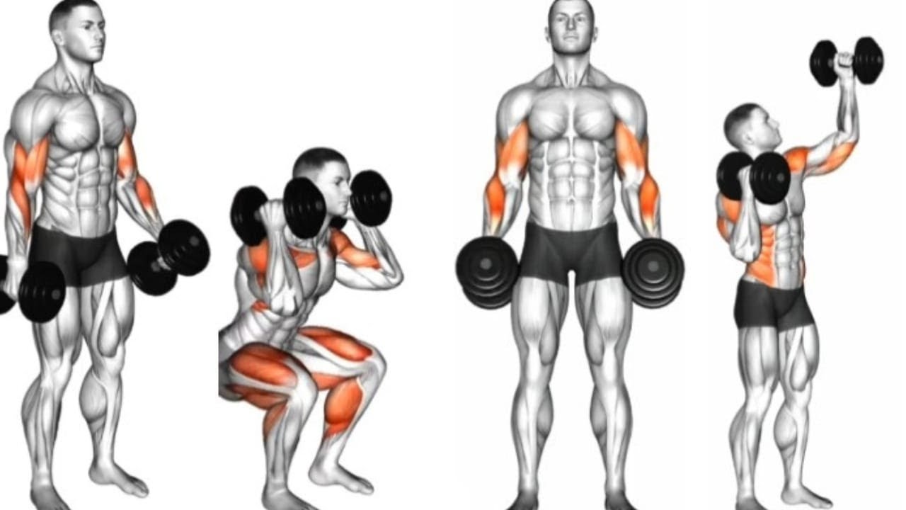 Standing Dumbbell Exercises for a Full body workout @DailyWorkoutplus ...