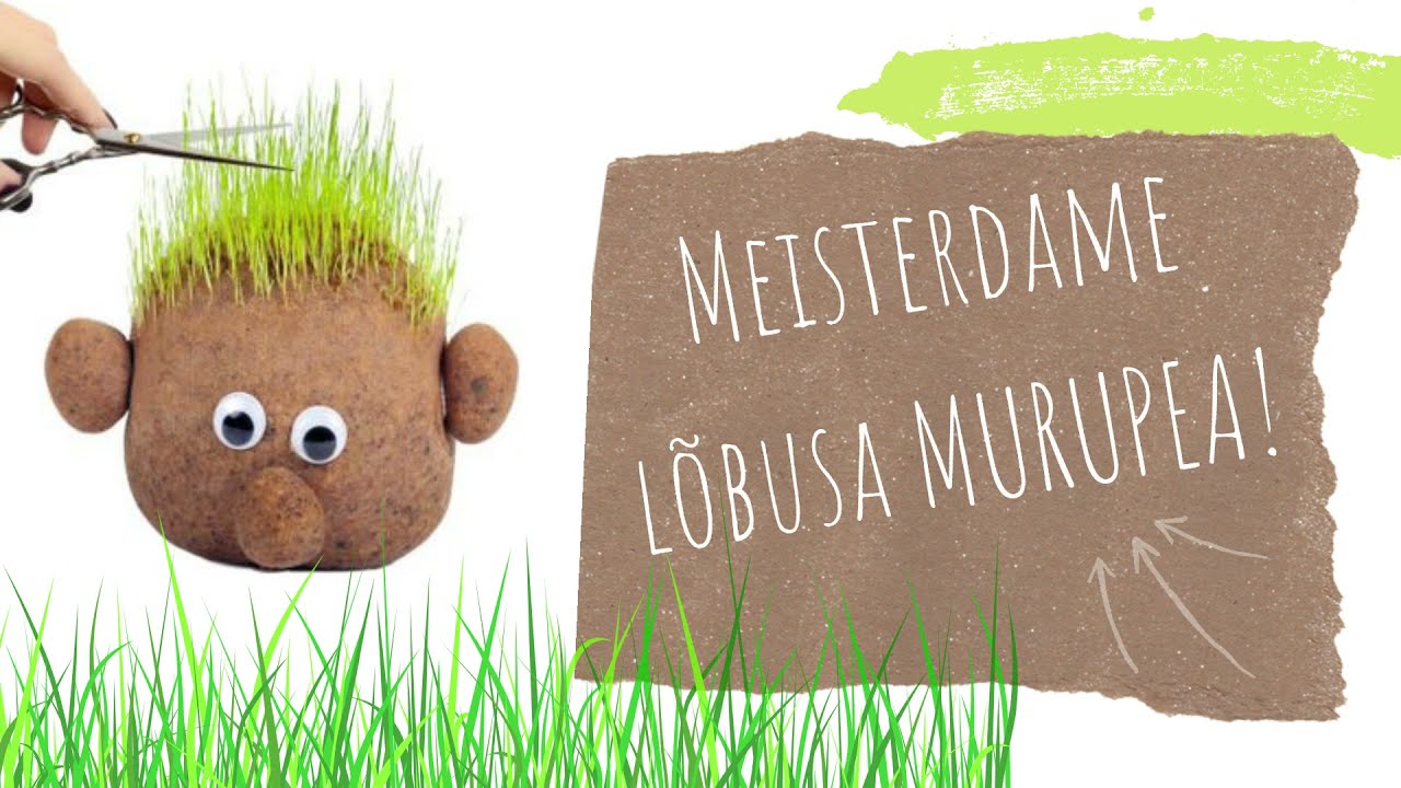 Meisterdame lõbusa murupea - YouTube