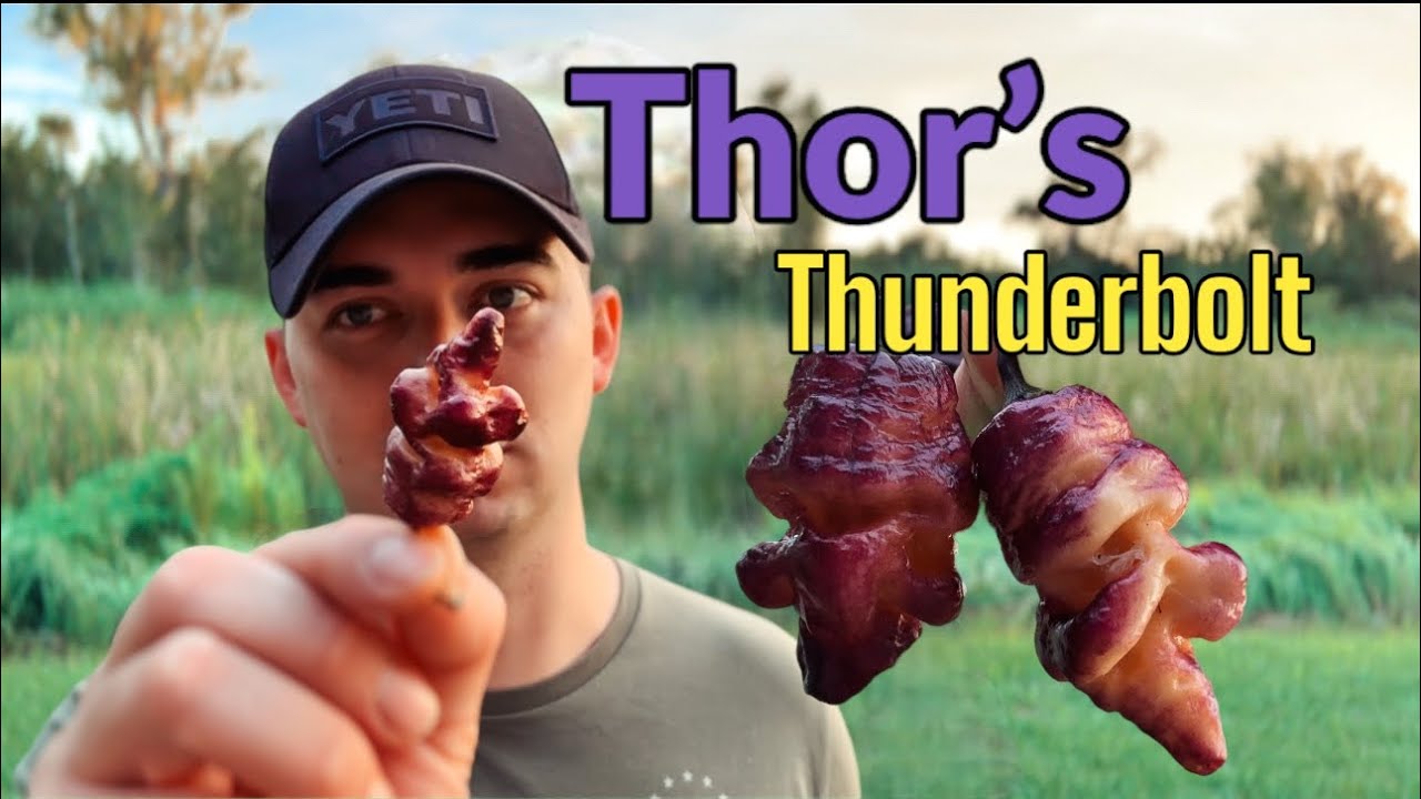 Thor’s Thunderbolt | Pepper Review - YouTube