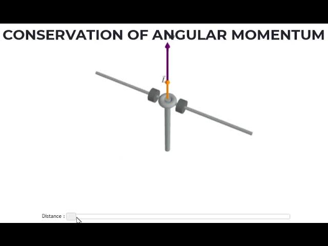 Angular Momentum Animation