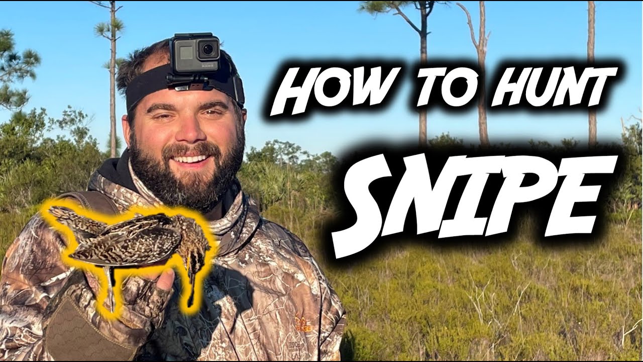 SNIPE HUNTING South Florida Public Land (SNS 2021 #19) - YouTube