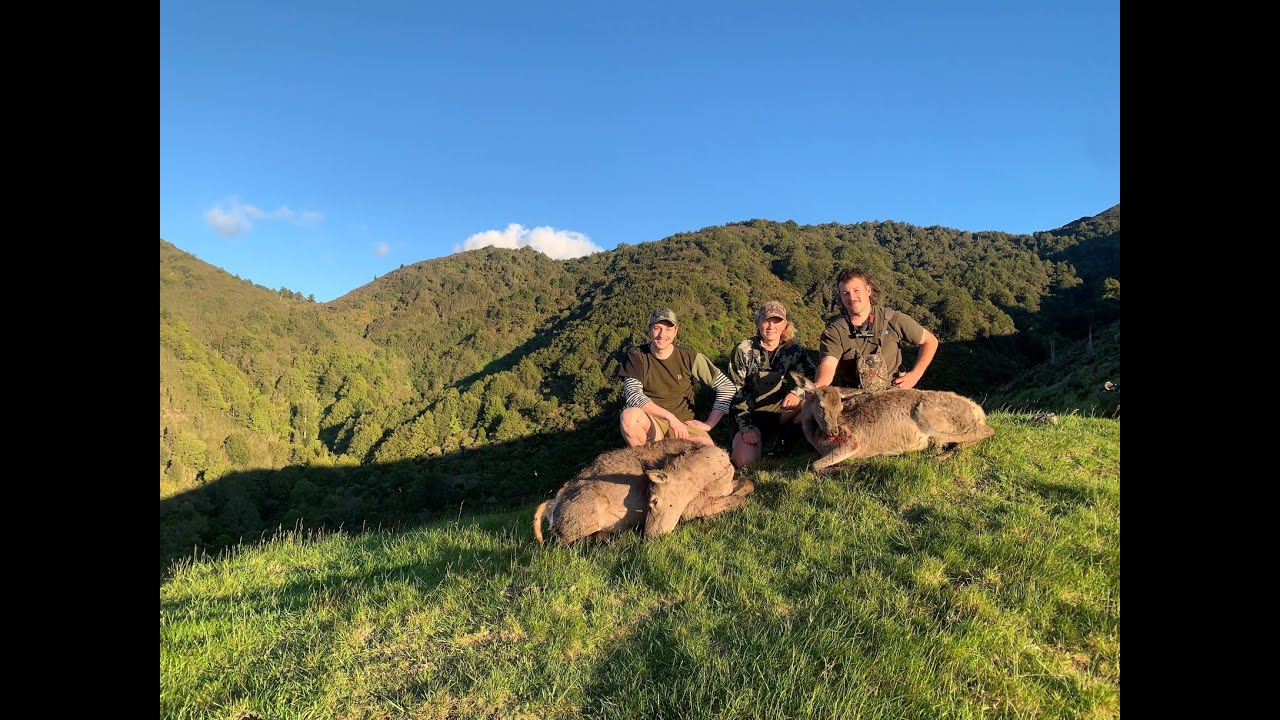 Ruahine Ranges Hunting - November Double - YouTube