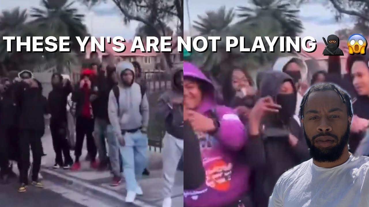"How Do We Fix This Culture? Is There Any Hope For The YNs?" 🥷 Here's ...