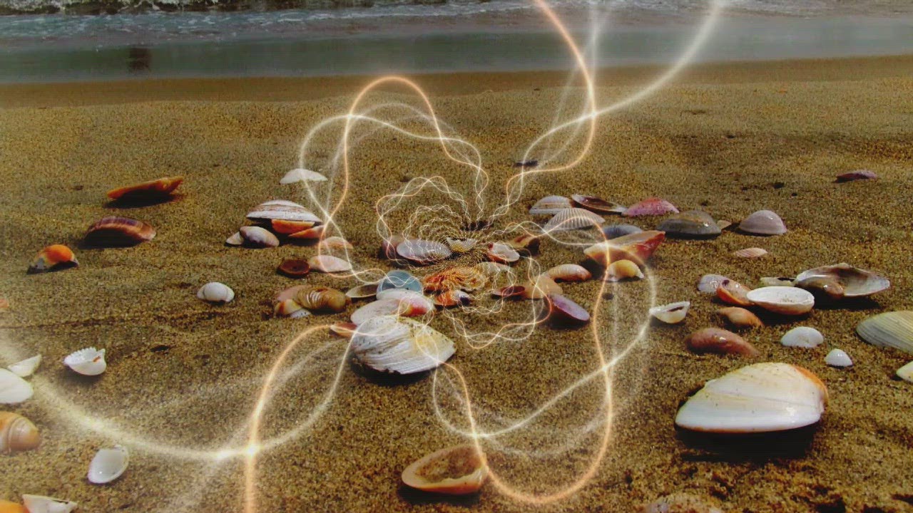 Divine Matrix - Shells - YouTube