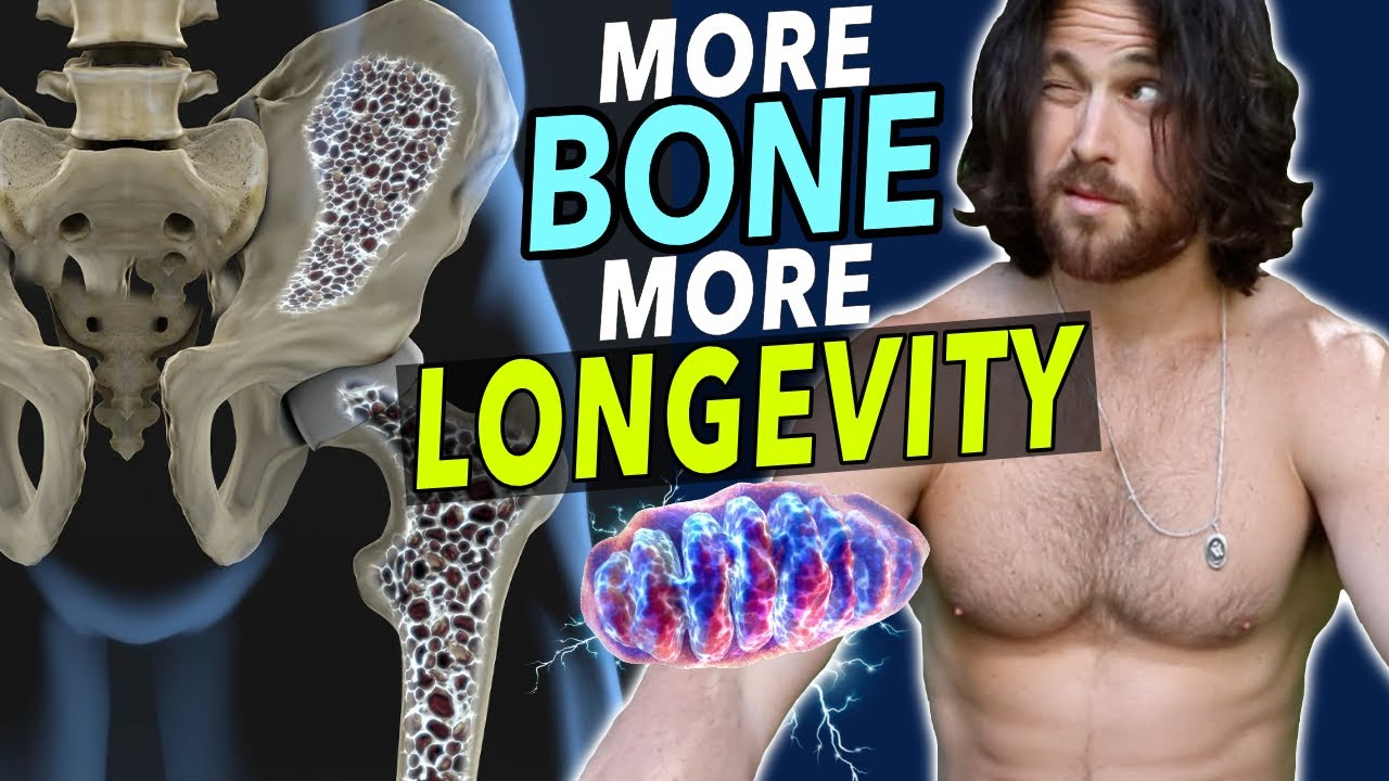 Strong BONES, Mitochondria Function & LONGEVITY | The Secret Connection ...