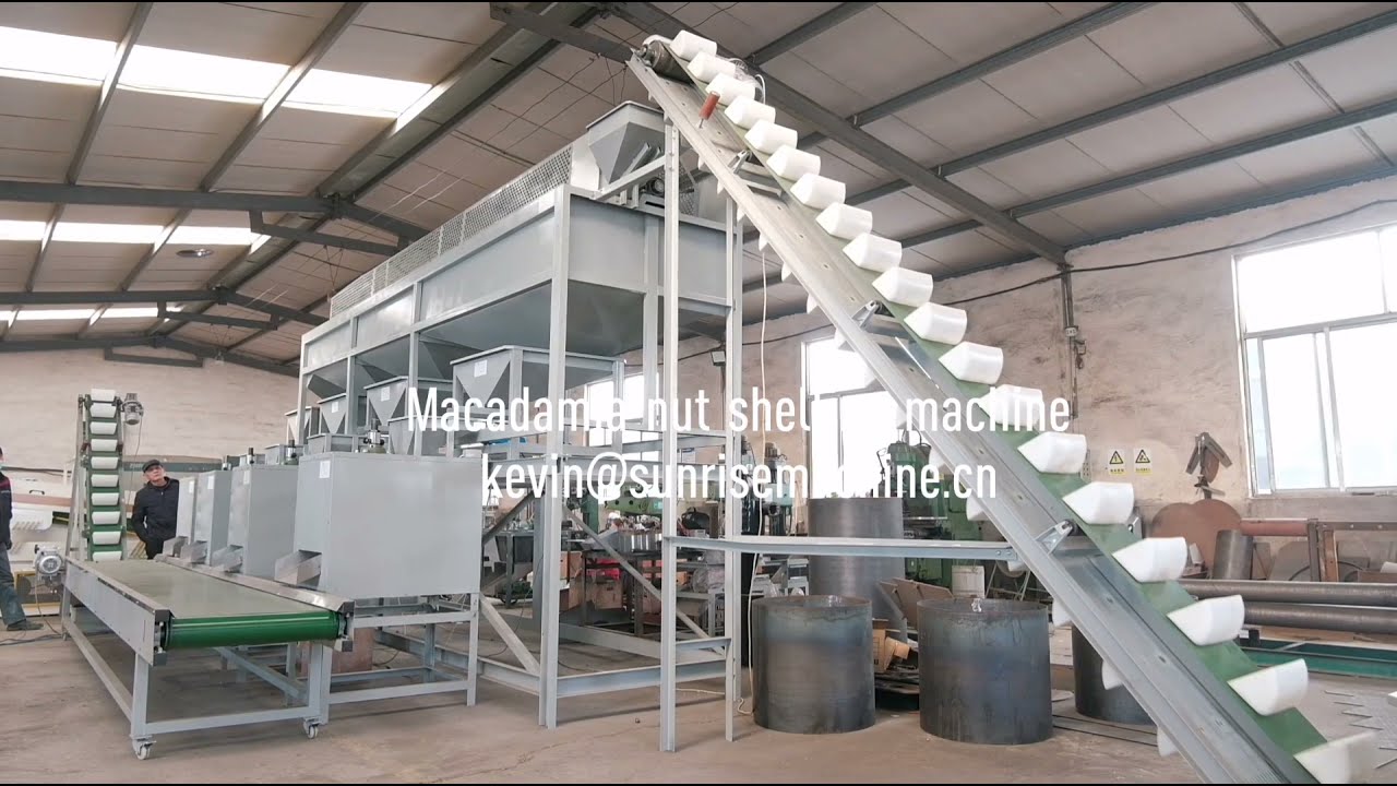 Plant Production Line Macadamia Nut Cracker Sheller Cracking Shelling ...