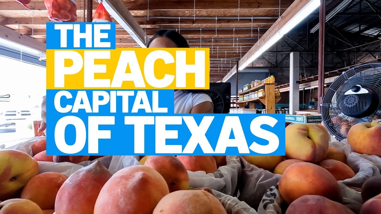 Meet the peach capital of Texas - YouTube