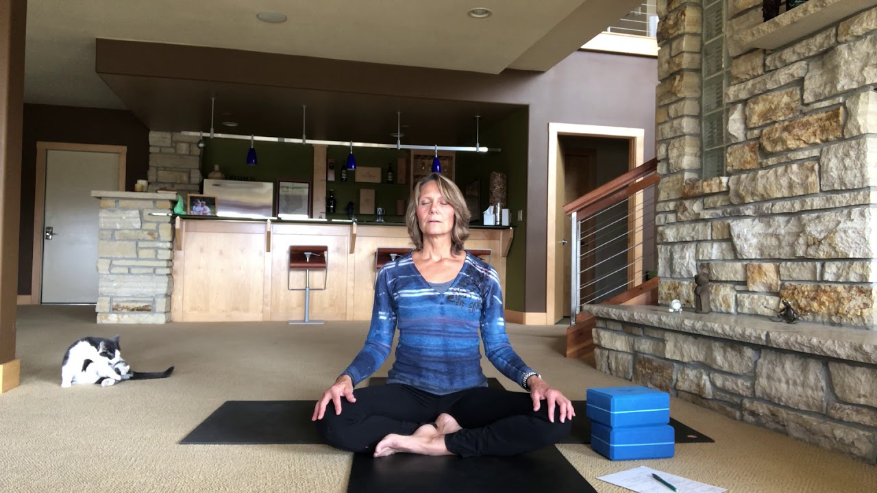 Yoga for Beginners with Lisa - YouTube