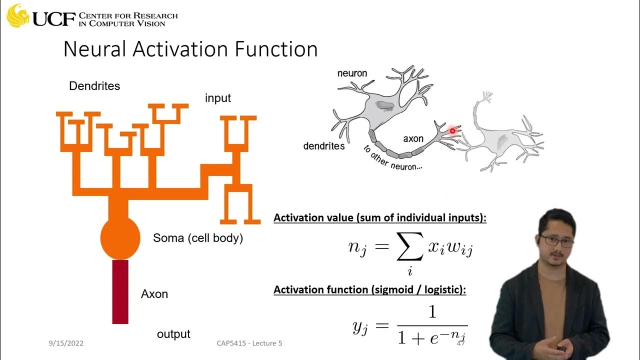 Lecture 5.2: Introduction to Neural Networks [Neural Network basics ...