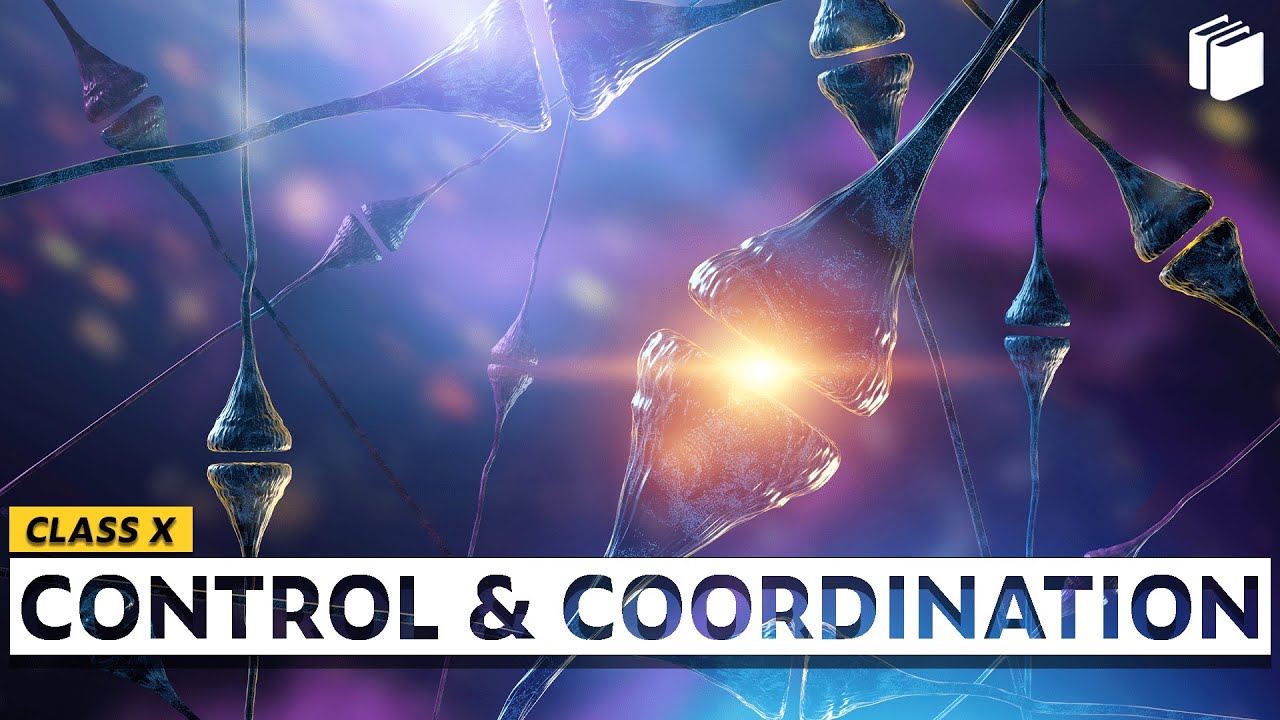 Control and Coordination (Introduction) | Chapter 7 | Class 10 ...