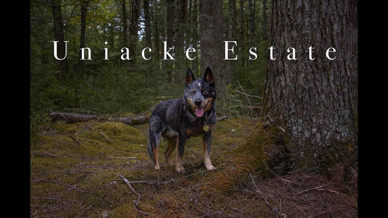 Uniacke Estate Museum Park - YouTube