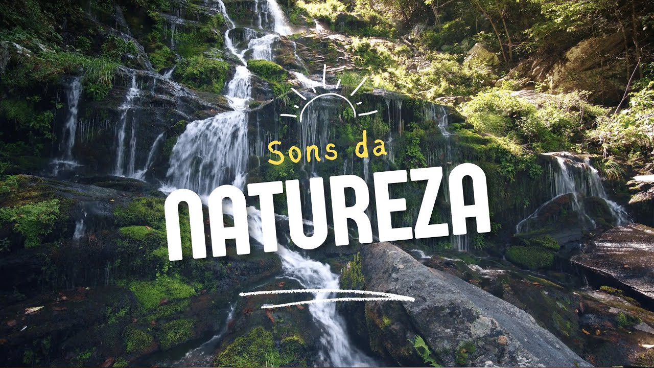 SONS DA NATUREZA 💦 Música Relaxante 🎶 Pássaros, Cachoeira e Paz - YouTube