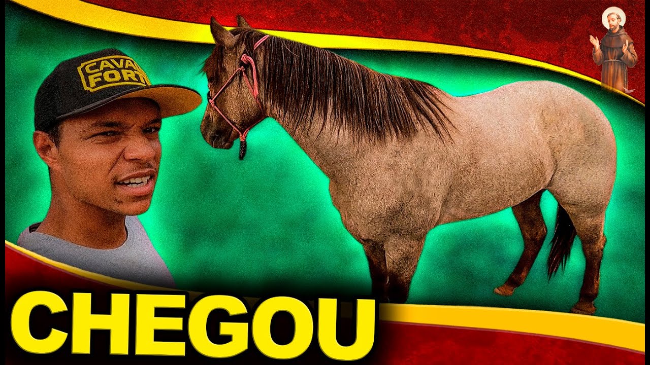A égua Chegou nas nossas Baias - YouTube