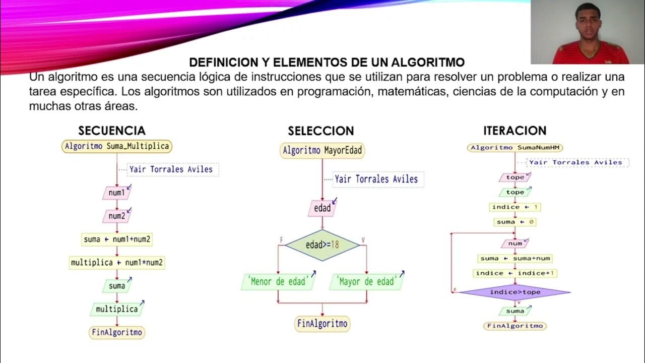 ESTRUCTURA GENERAL DE UN ALGORITMO PARTE 1 - YouTube