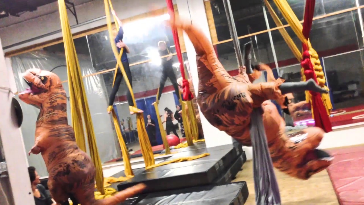 Jurassic Fun at the Circus - YouTube
