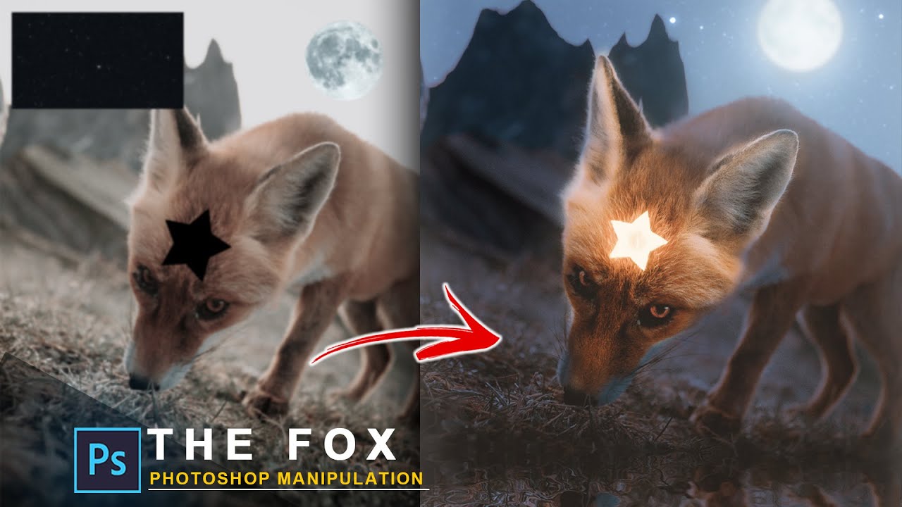 The Fox in Photoshop Manipulation Tutorial - YouTube