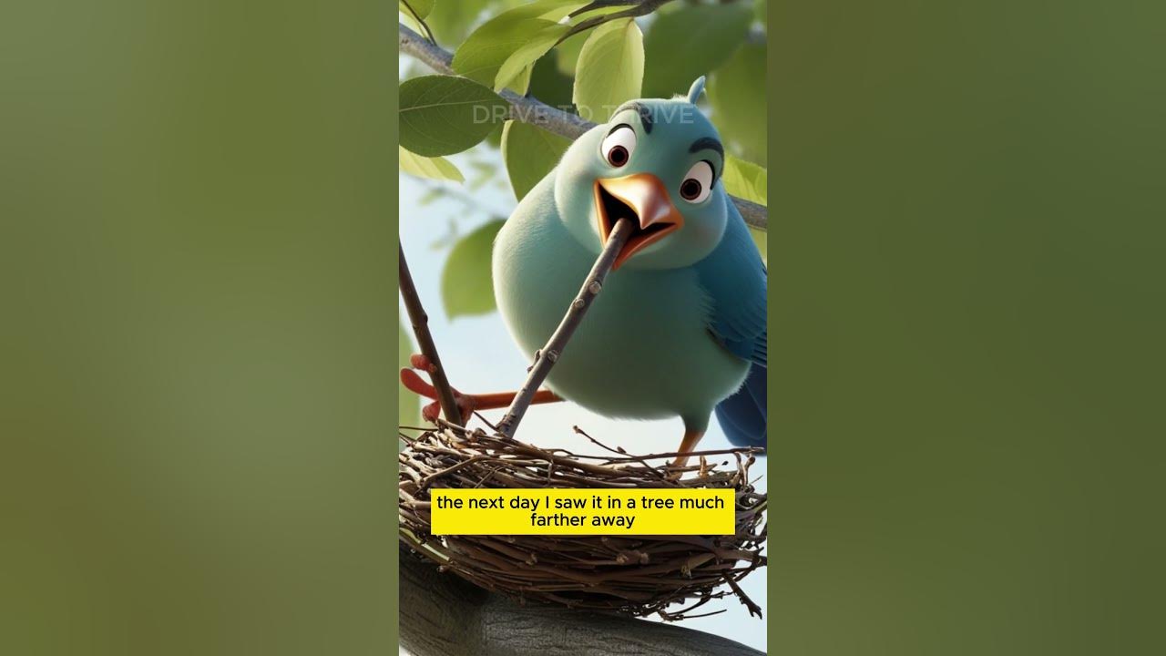 This Little Bird Taught Me a HUGE Life Lesson! #short #motivation # ...